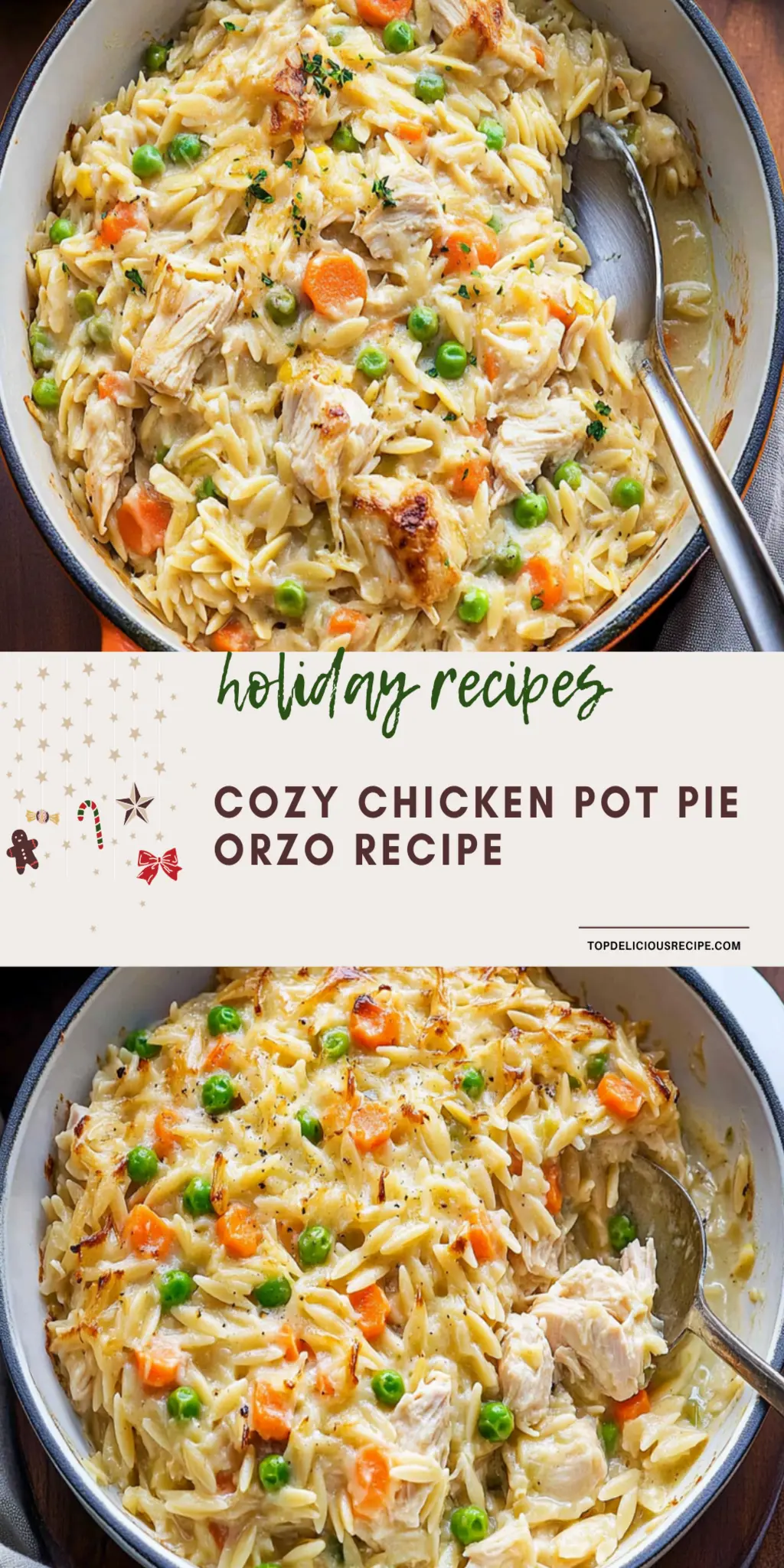 Cozy Chicken Pot Pie Orzo - Easy One Pot Comfort Meal Recipe - Top ...