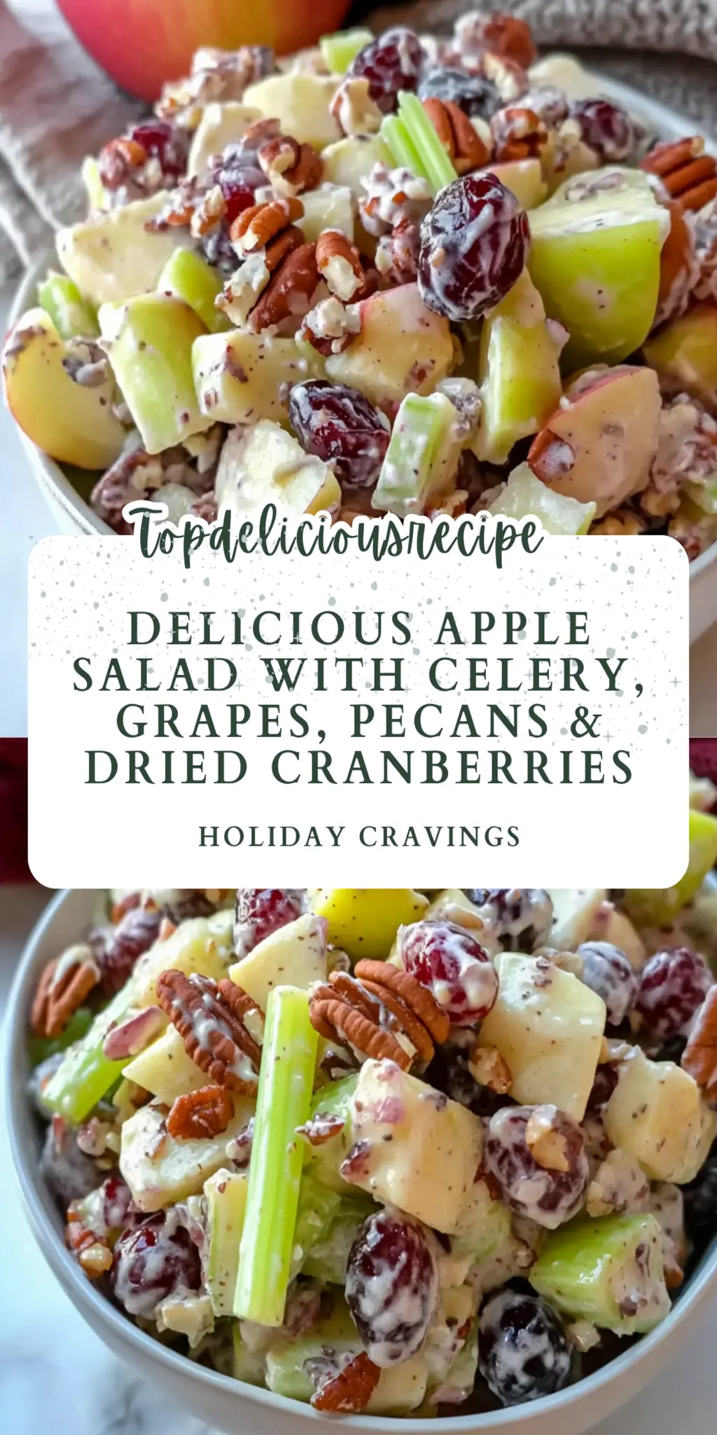 Delicious Apple Salad with Celery, Grapes, Pecans & Cranberries - Top ...