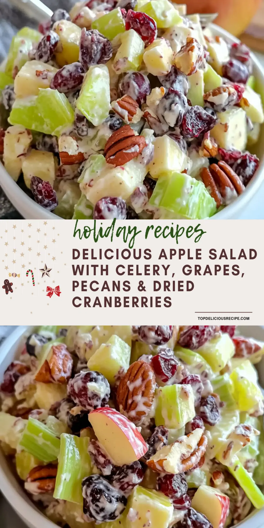 Delicious Apple Salad with Celery, Grapes, Pecans & Cranberries - Top ...