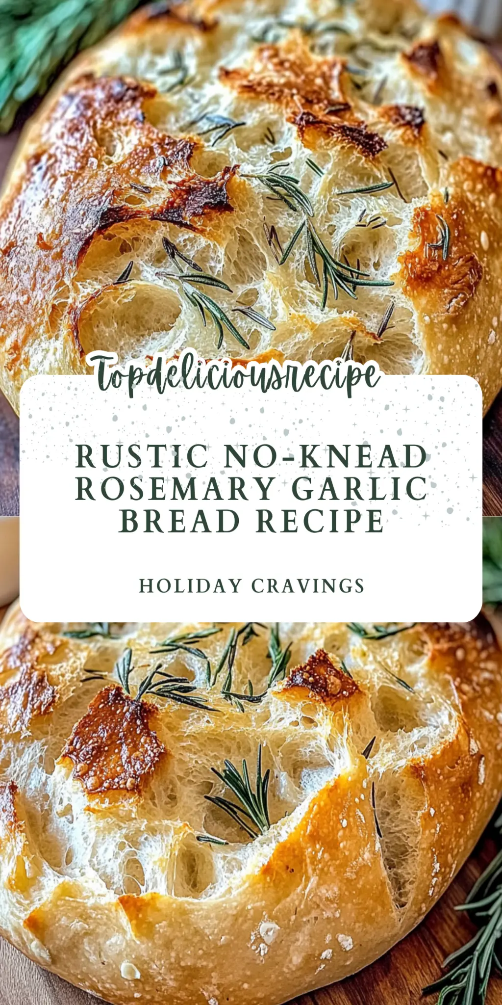 Rustic No-Knead Rosemary Garlic Bread Recipe with Easy Steps - Top ...