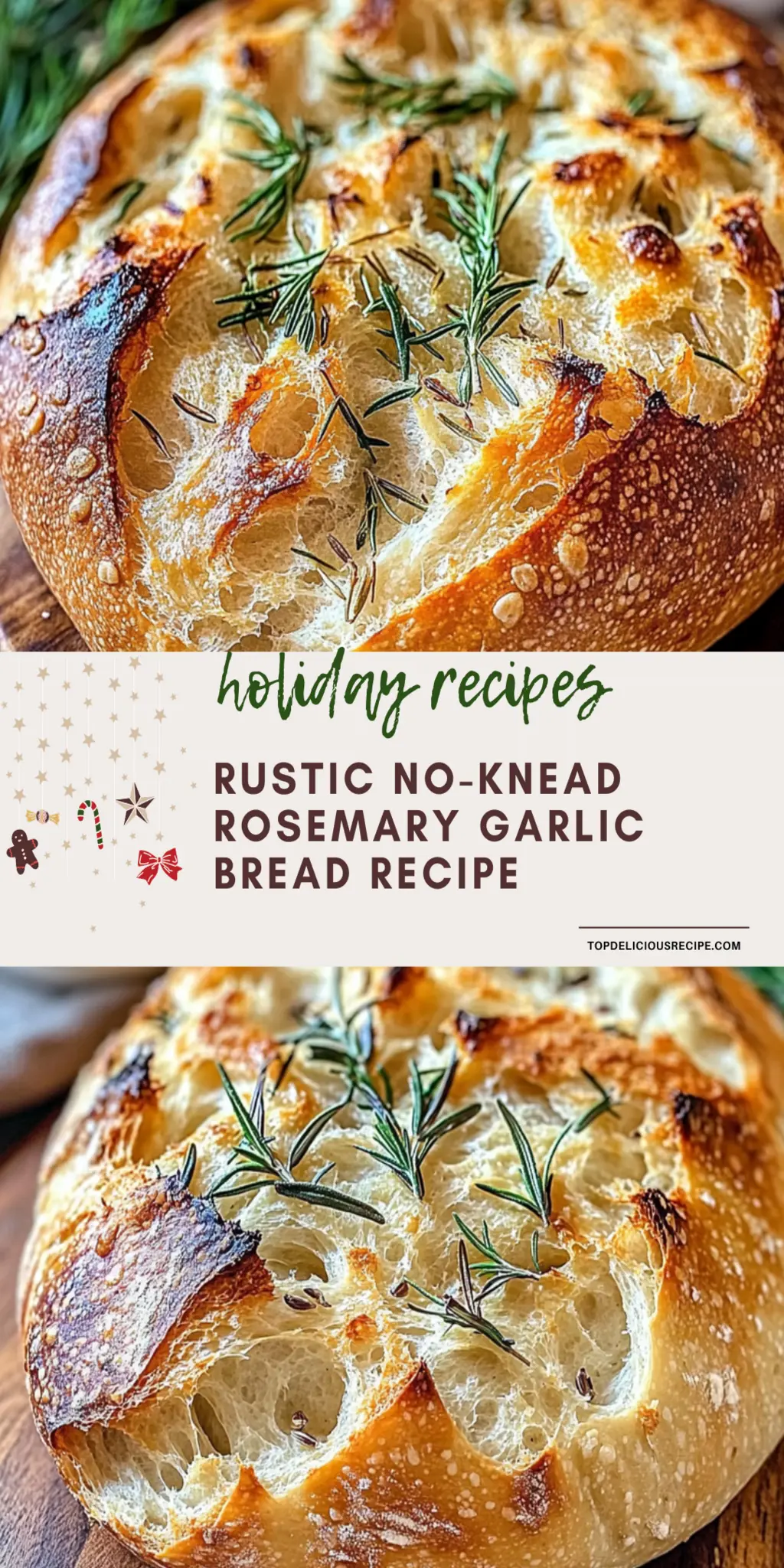Rustic No-Knead Rosemary Garlic Bread Recipe with Easy Steps - Top ...